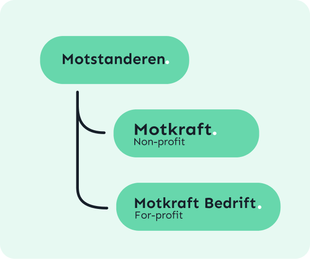 Om Motkraft - Hvordan vi er så billige på strøm